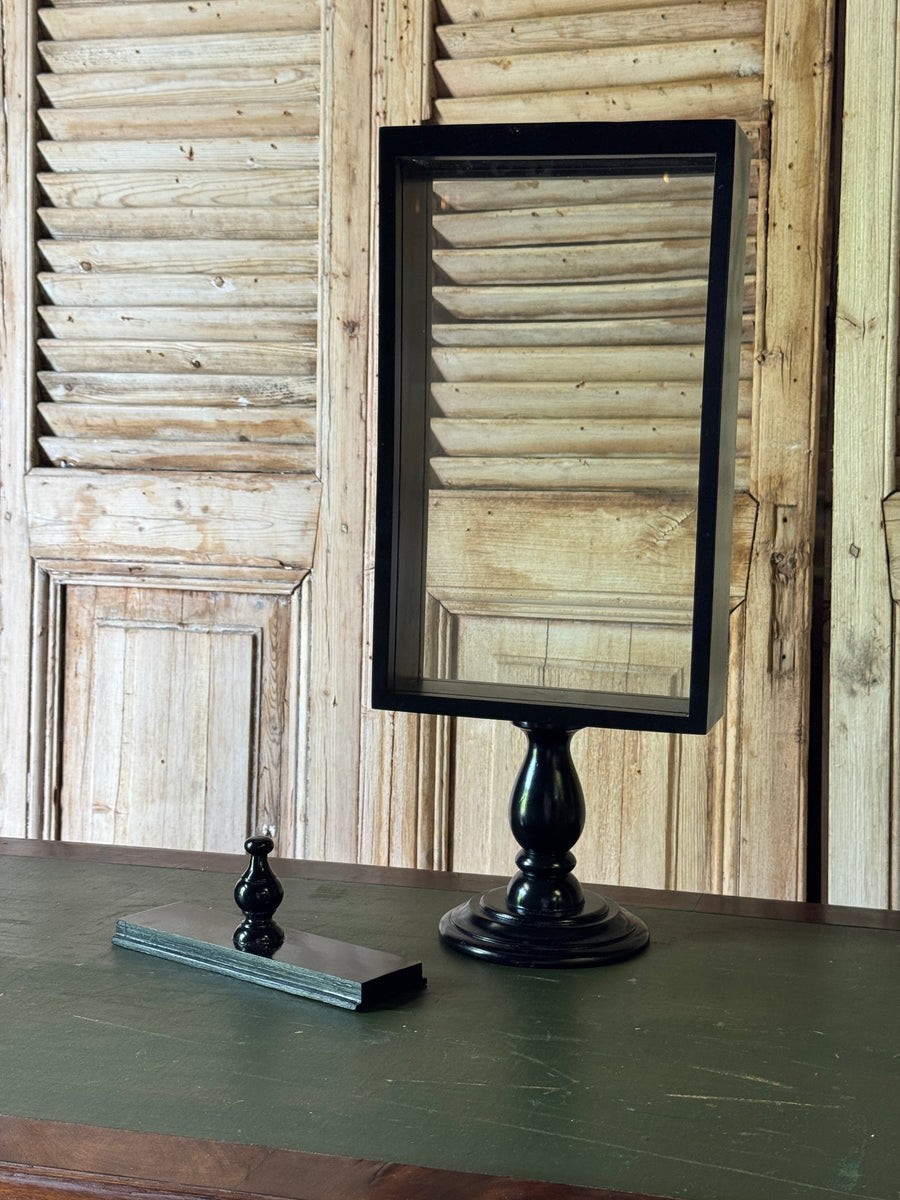 Upright Glass Specimen Display Case - 2 Designs – Manor on George