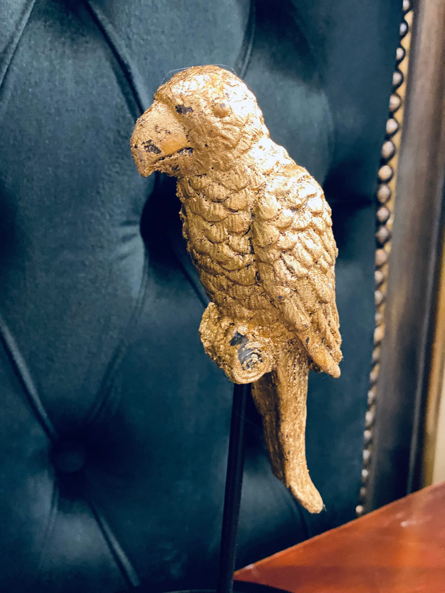 Gold Parrot Cloche – Manor on George